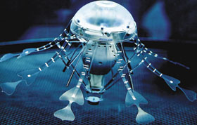 Perspectives on water and Festo AquaJelly - July 2013 - Festo South ...