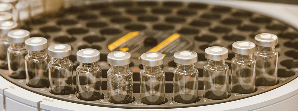 Playing autoclave roulette - February 2025 - VEGA Controls SA - SA ...